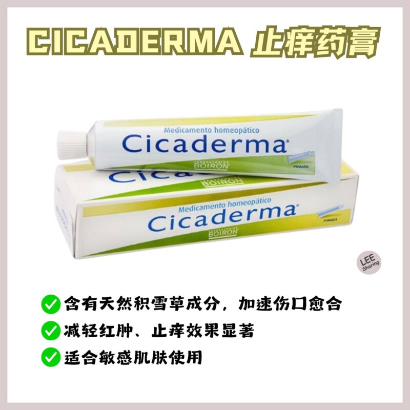 招蚊体质，蚊虫叮咬后用什么止痒膏最好？这里有你不能错过的top推荐！ – LEESHARING